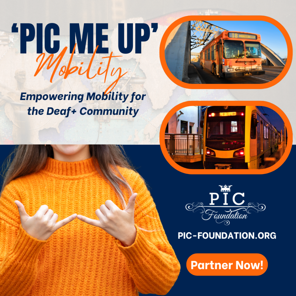 Programs – PIC-Foundation